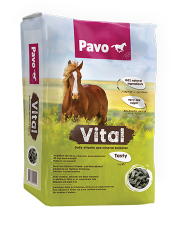 Pavo Vital - Paardenspecialist